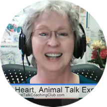 Want to Learn How to Talk to Animals? The Heart School is for you!